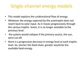 B.tech. i es unit2.1 environment energy flow in ecosystem | PPT