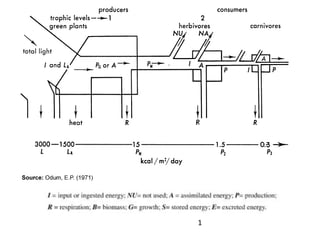 B.tech. i es unit2.1 environment energy flow in ecosystem | PPTX