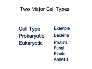 B.tech biotech i bls u 2.2 cells classification | PPT