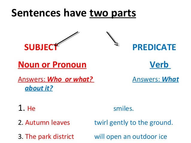 B.sc ii unit i subject and predicates