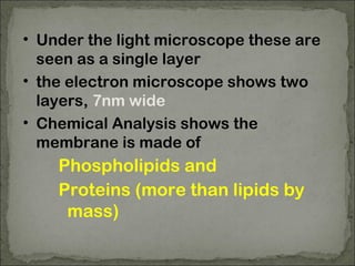 B. membrane structure | PPT