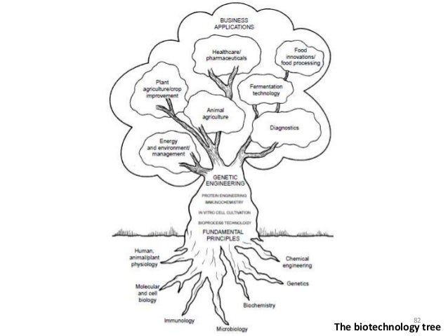 B.tech biotechnology elements of biotech unit 1 Biotech