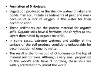 B.sc. agri sem ii agricultural microbiology unit 3 soil profile | PPTX