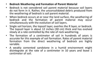 B.sc. agri sem ii agricultural microbiology unit 3 soil profile | PPTX