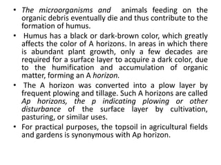 B.sc. agri sem ii agricultural microbiology unit 3 soil profile | PPTX