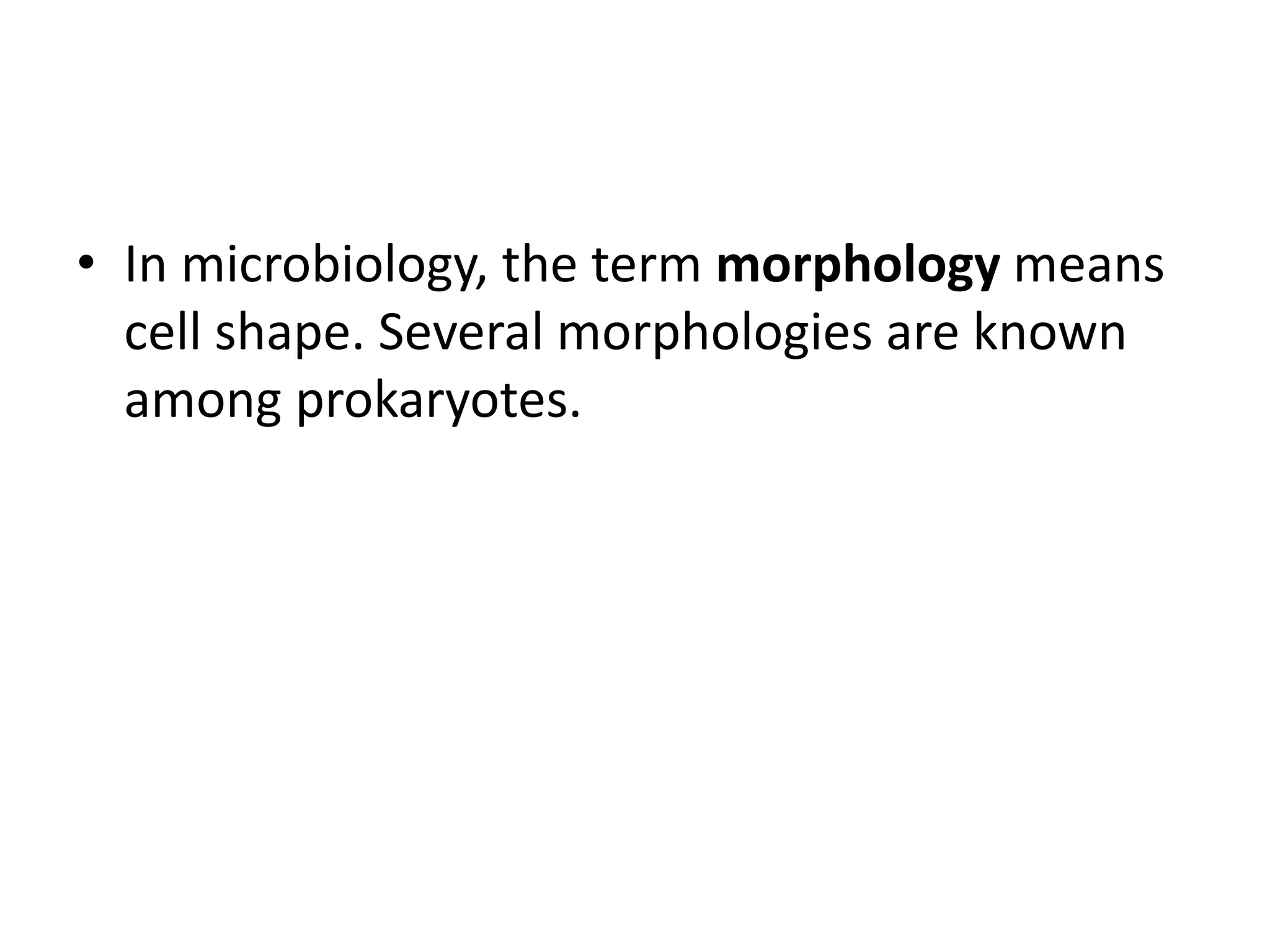 B.Sc. Microbiology II Bacteriology Unit II Morphology of Bacterial Cell ...
