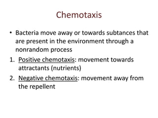 B.Sc. Microbiology II Bacteriology Unit II Morphology of Bacterial Cell ...