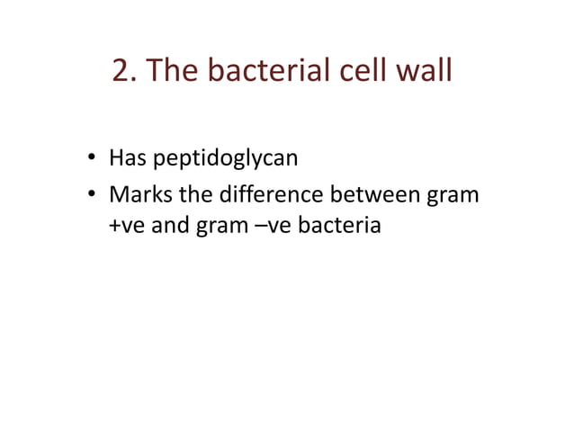 B.Sc. Microbiology II Bacteriology Unit II Morphology of Bacterial Cell ...