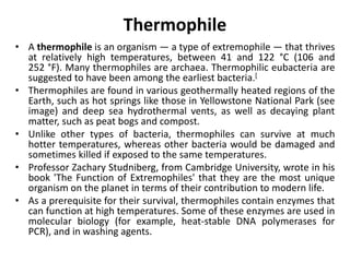 B.sc. microbiology II Bacteriology Unit III Microbial Diversity | PPTX