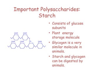 B.Sc. Biochem II Biomolecules I U 1 Carbohydrate | PPT