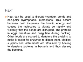 B.Sc. Biochem II Biomolecule I U 3.2 Classification of Protein ...