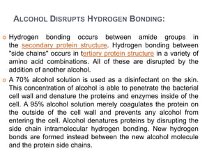 B.Sc. Biochem II Biomolecule I U 3.2 Classification of Protein ...
