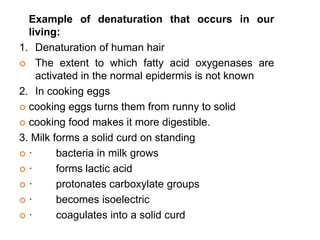 B.Sc. Biochem II Biomolecule I U 3.2 Classification of Protein ...