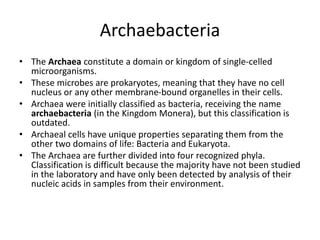 B.Sc. Microbiology II Bacteriology Unit III Microbial Diversity | PPTX