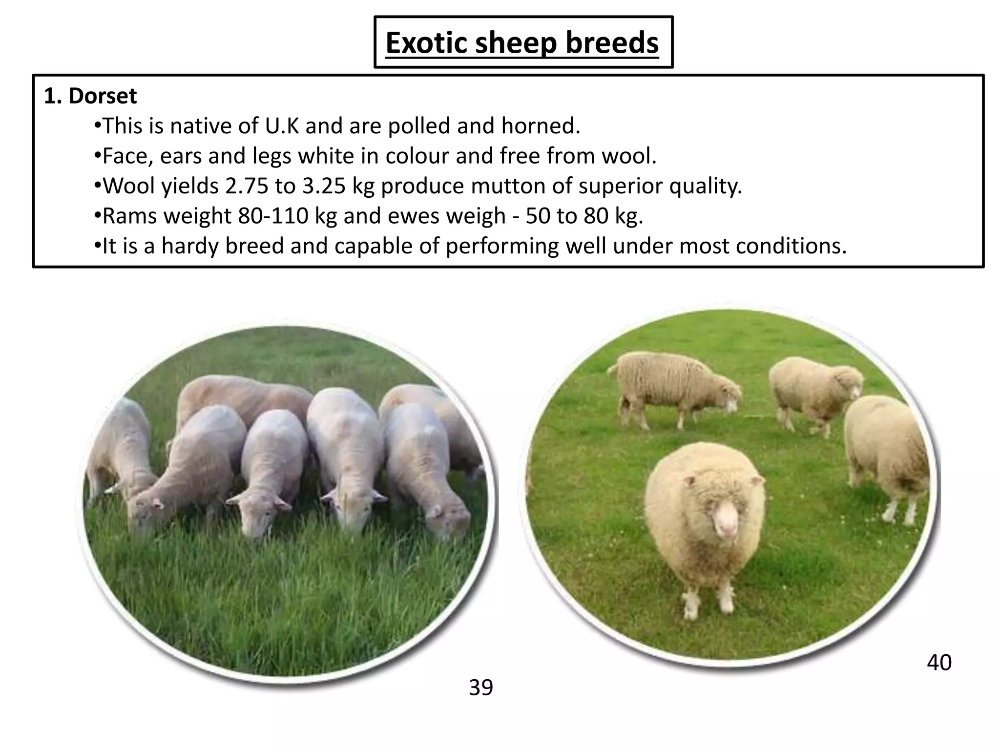 B.Sc. Agri II LPM U 1 Introduction To Livestock Production | PPTX ...