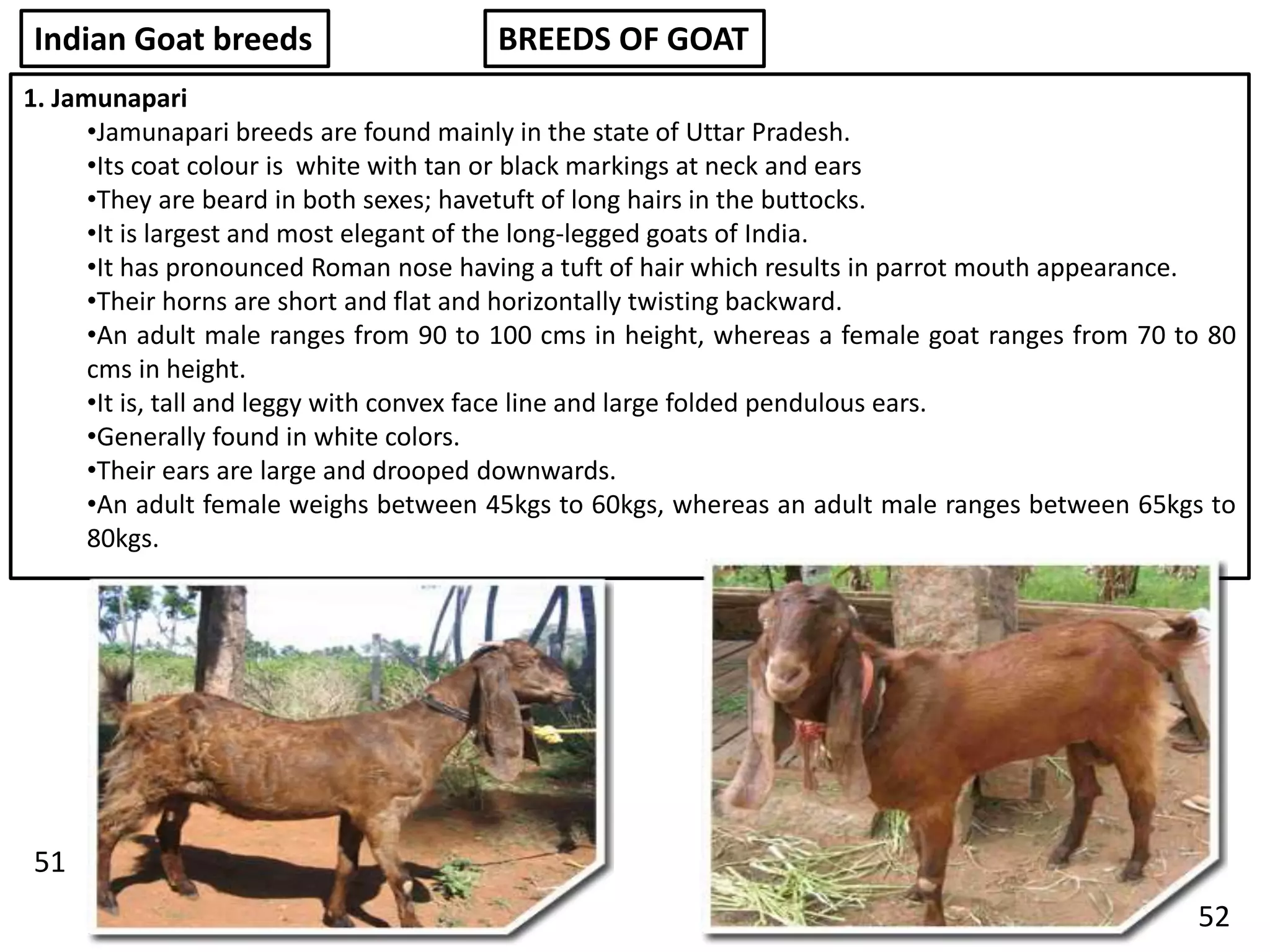 B.Sc. Agri II LPM U 1 Introduction To Livestock Production | PPTX ...
