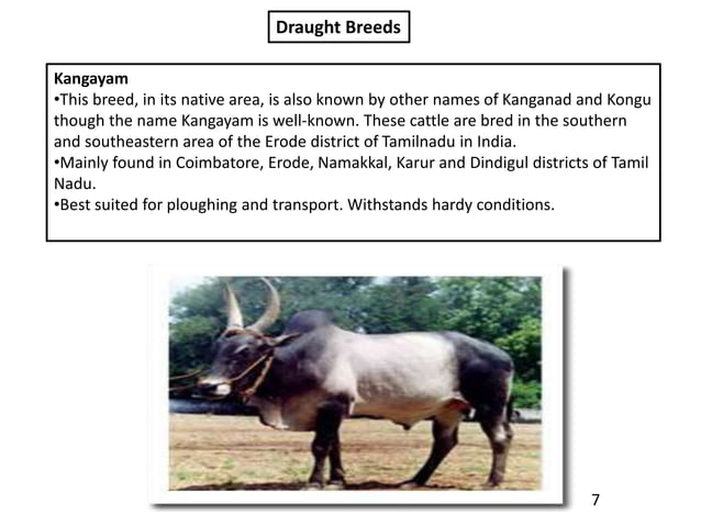 B.Sc. Agri II LPM U 1 Introduction To Livestock Production | PPT
