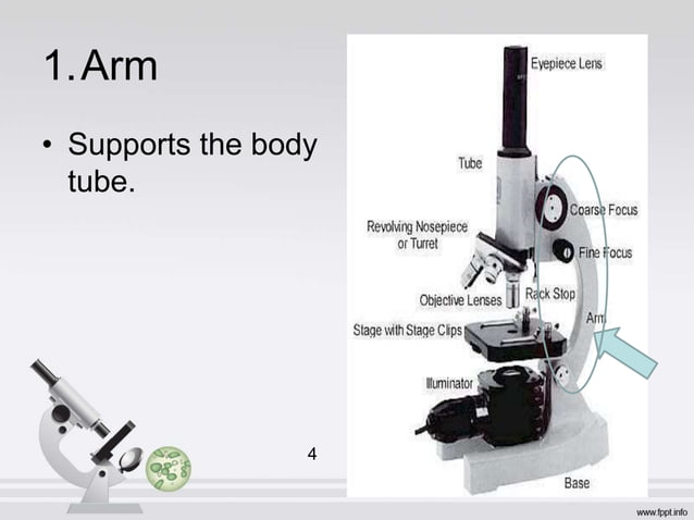 B.Sc. Biochemistry II Cellular Biochemistry Unit 4 Basic Techniques in Microbiology | PPTX