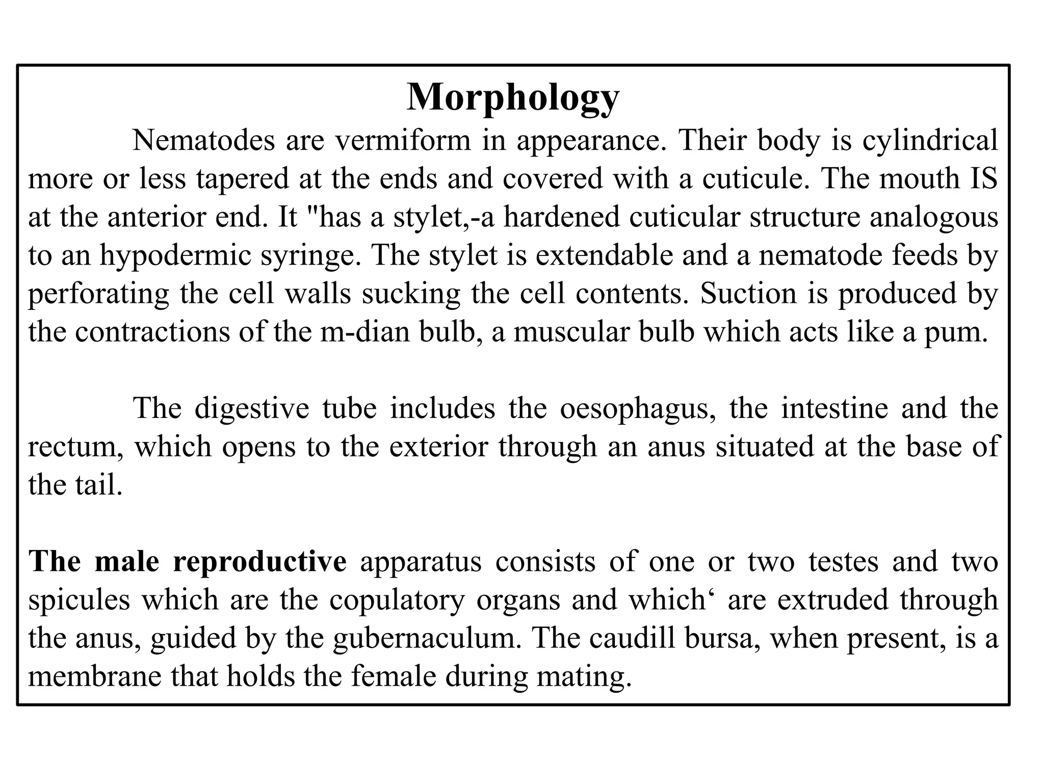 B.Sc. Agri II IN U-2 Classification of Nematodes | PPTX