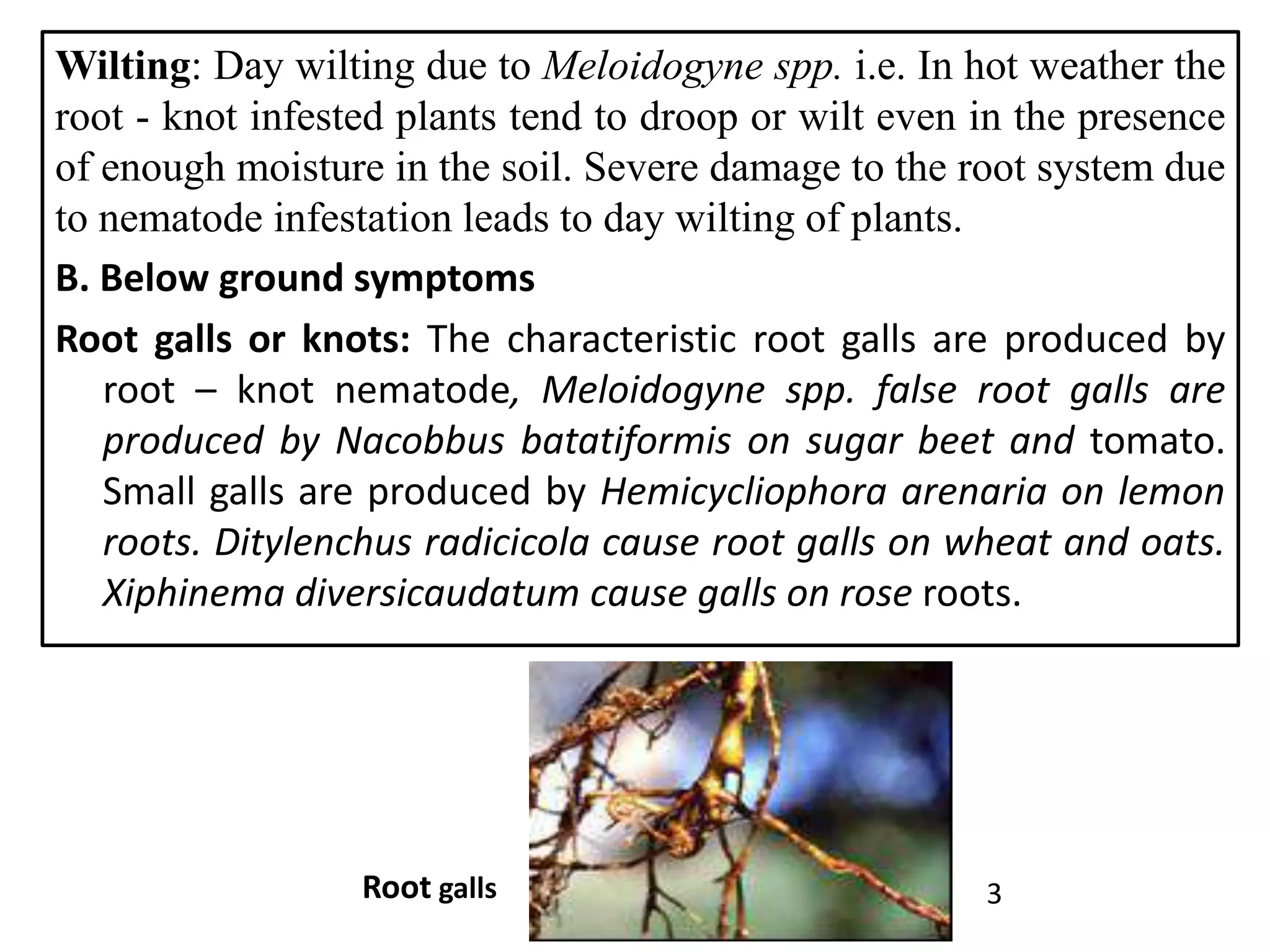 B.Sc. Agri II IN U-3 Symptoms caused by Nematode | PPTX