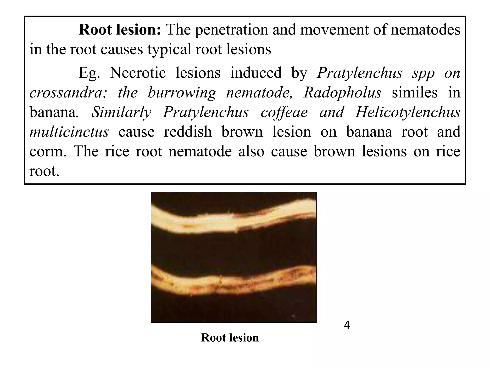 B.Sc. Agri II IN U-3 Symptoms caused by Nematode | PPTX