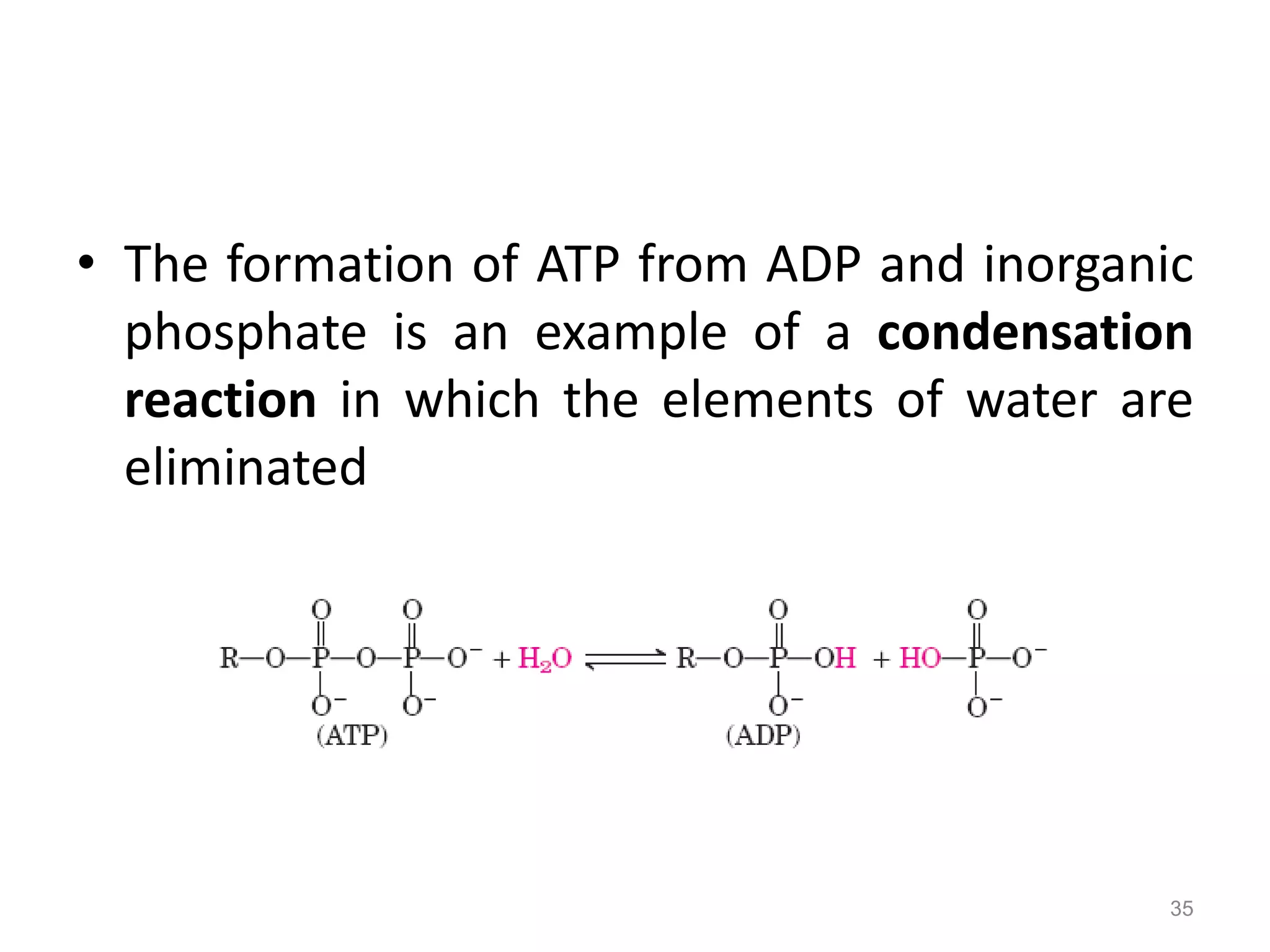 B.Sc. Biochem II BPI Unit 1 Water, pH and Buffer | PPTX