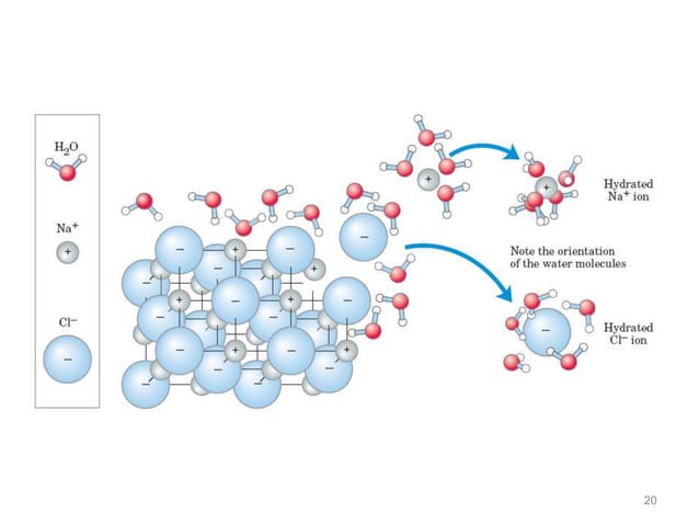 B.Sc. Biochem II BPI Unit 1 Water, pH and Buffer | PPTX