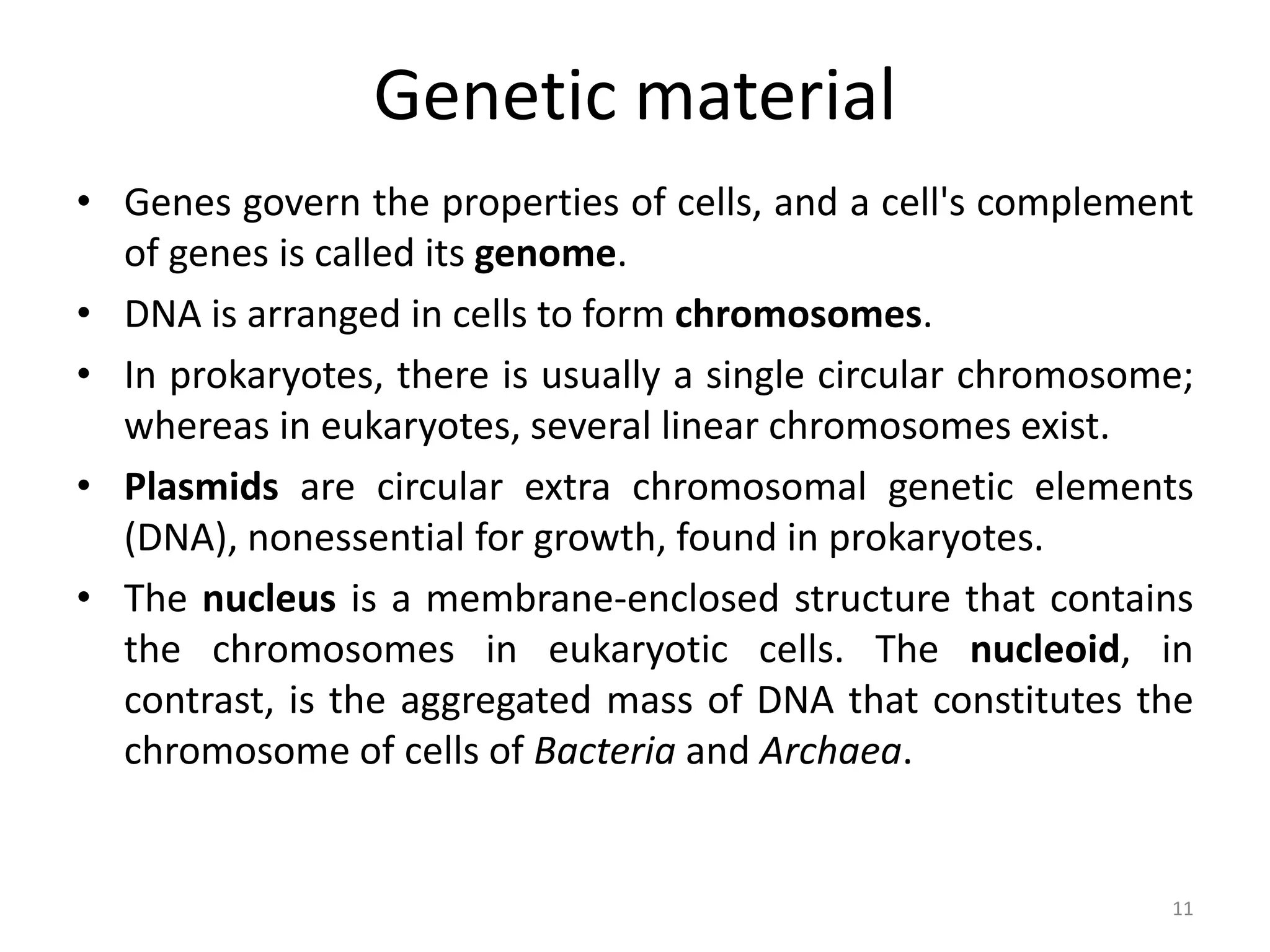 B.Sc. Biotech Biochem II BM Unit-1.3 Prokaryotic and eukaryotic cells ...