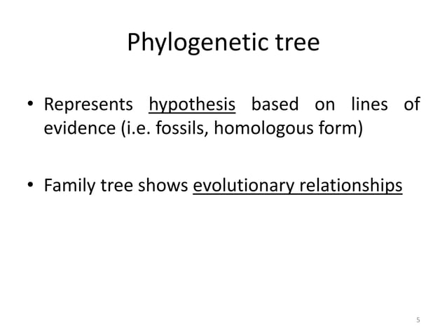 B.Sc. Biotech Biochem II BM Unit-1.2 Taxonomy and Classification | PPTX