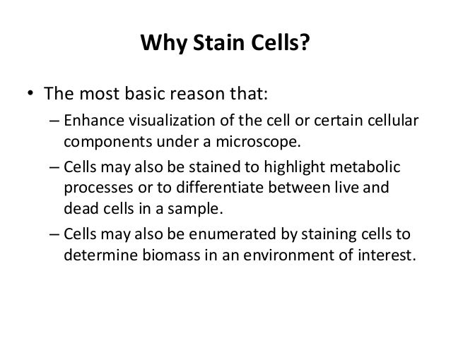 B.Sc. Biotech Biochem II BM Unit-4.2 Staining