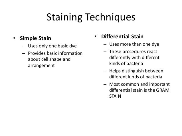 B.Sc. Biotech Biochem II BM Unit-4.2 Staining