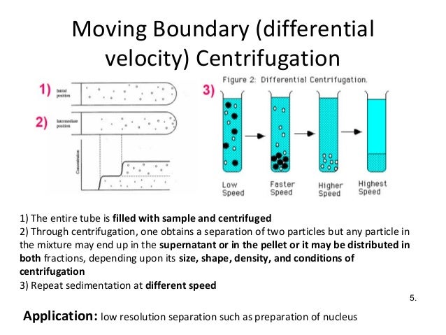 B.Sc Biotech II BAT Unit 2 Centrifugation