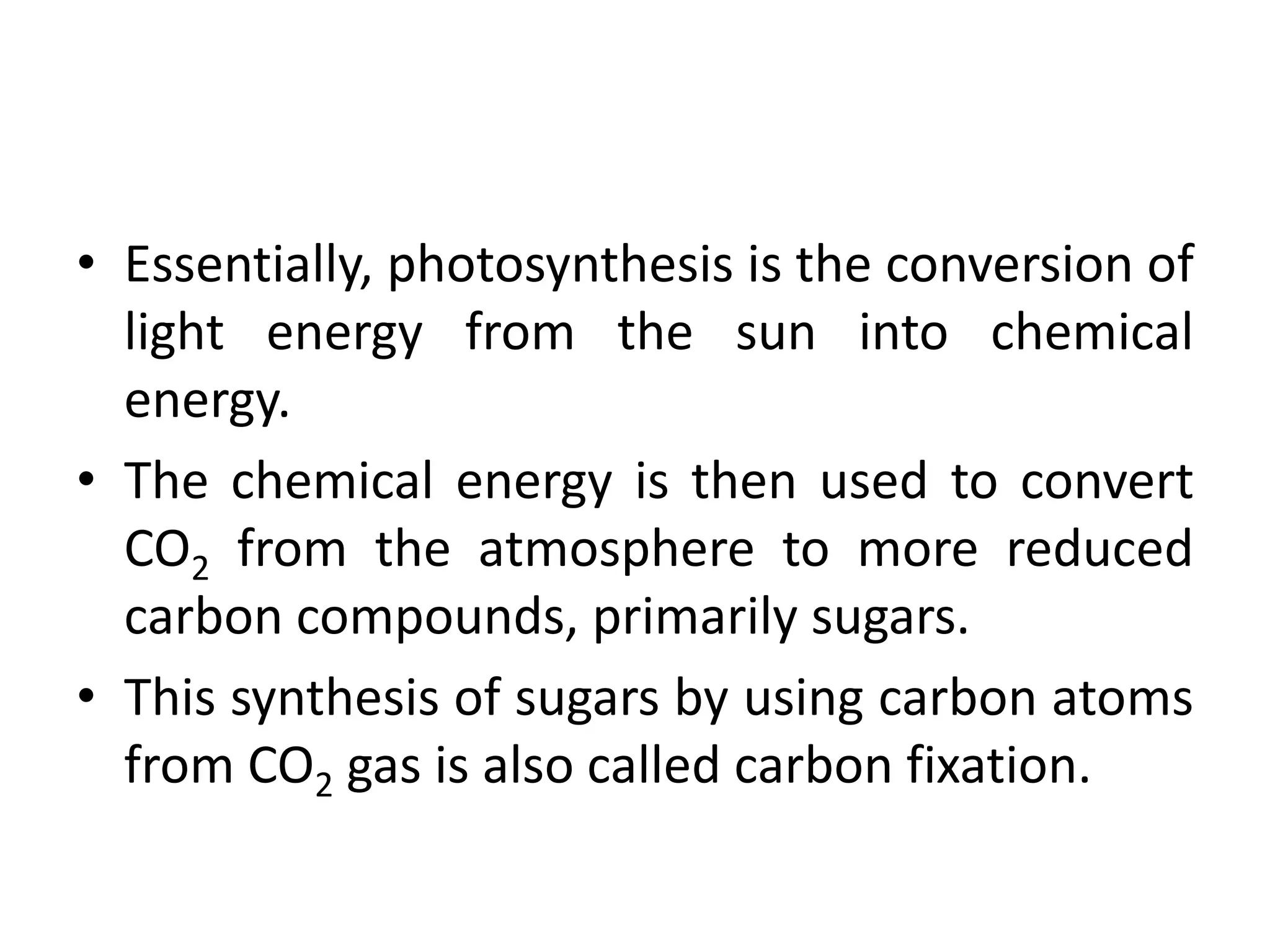 B.Sc Micro II Microbial physiology Unit 1 Bacterial Photosynthesis | PPTX