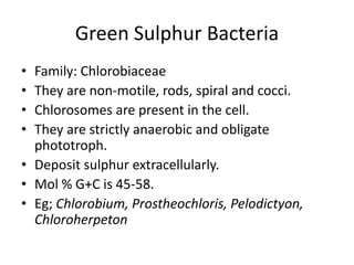 B.Sc Micro II Microbial physiology Unit 1 Bacterial Photosynthesis | PPTX