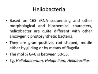 B.Sc Micro II Microbial physiology Unit 1 Bacterial Photosynthesis | PPT
