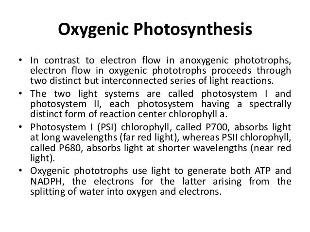 Difference Between Oxygenic And Anoxygenic Photosynthesis