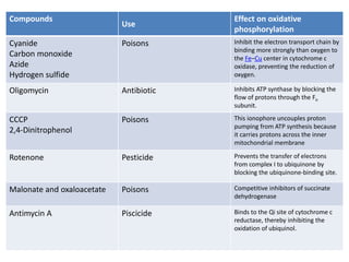 B.Sc Micro II Microbial physiology Unit 2 Bacterial Respiration | PPTX