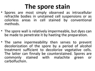 B.Sc Micro II Microbial Physiology Unit 4 Spores | PPT | Biological ...