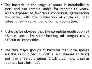 B.Sc Micro II Microbial Physiology Unit 4 Spores | PPT | Biological ...