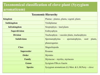 B.pharm project 2015 16 ppt | PDF