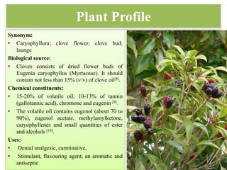 B.pharm project 2015 16 ppt | PDF