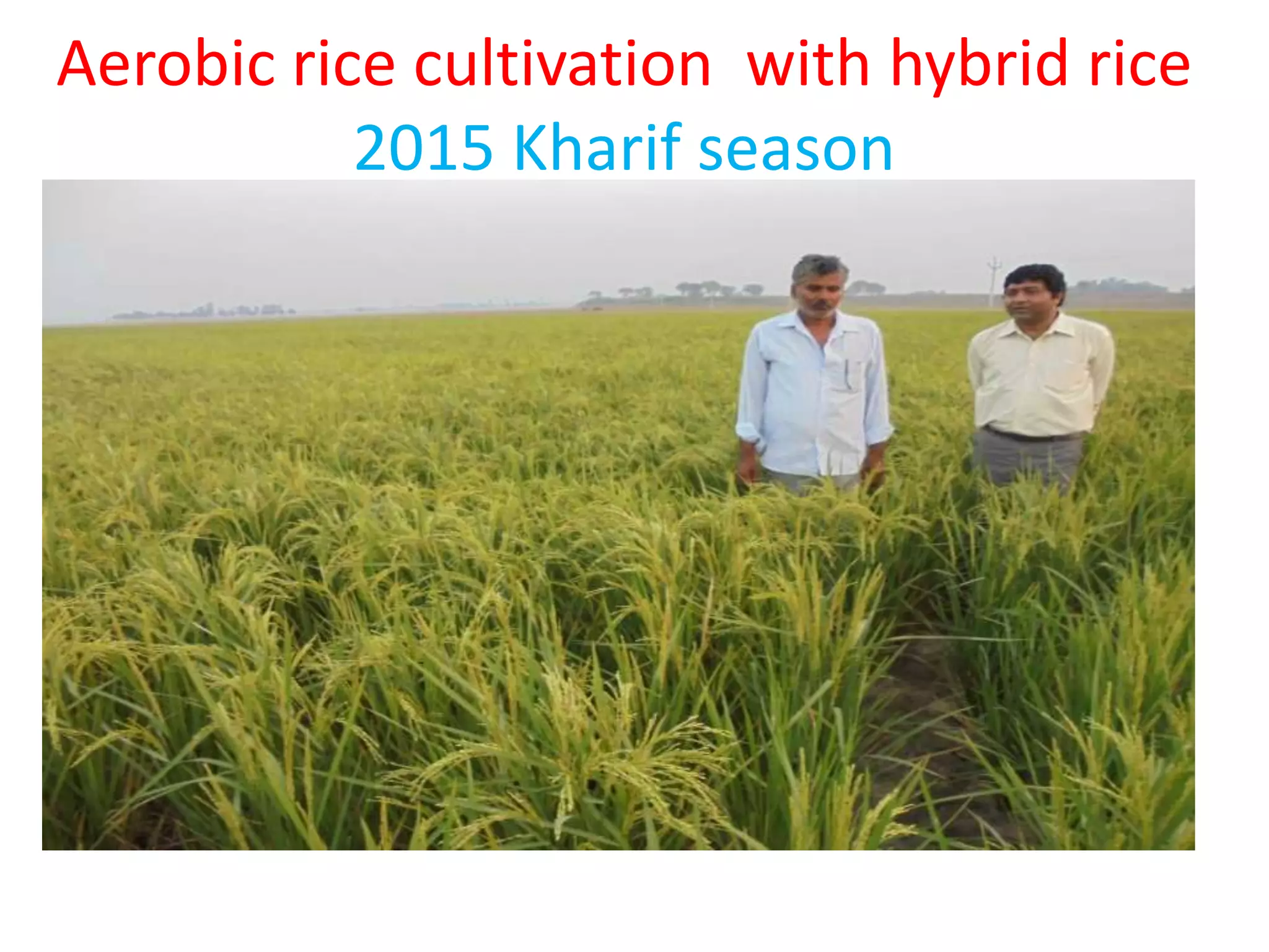 India vs Bharat: the Urban - Rural Divide | PPT