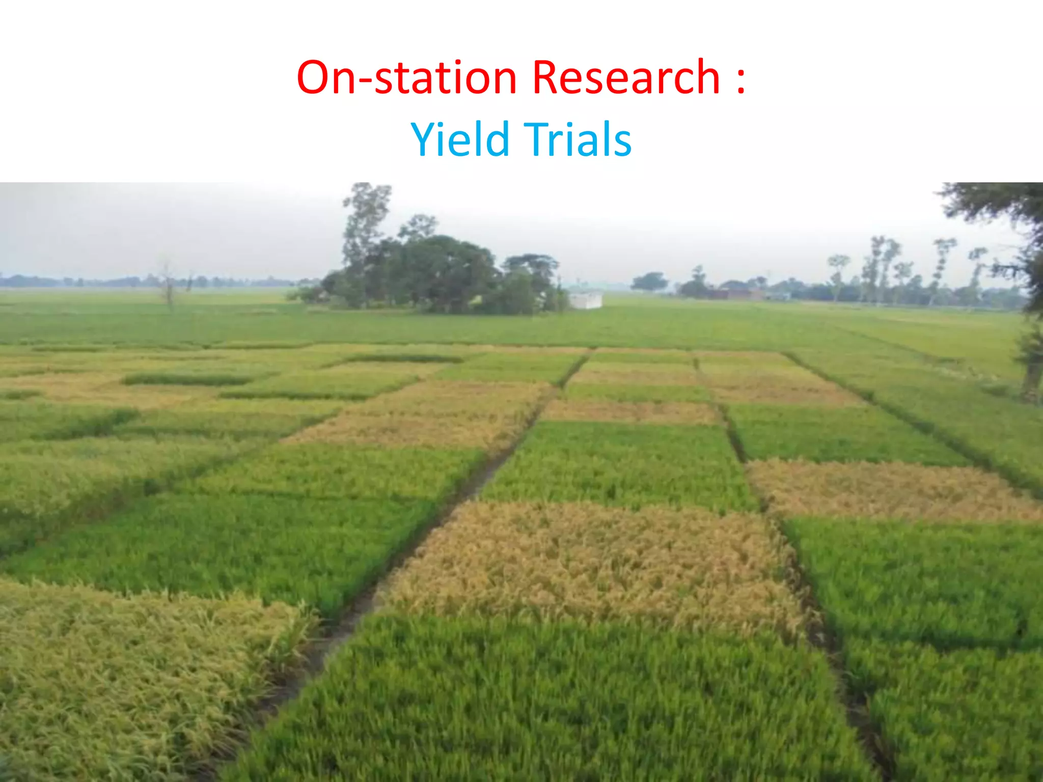 India vs Bharat: the Urban - Rural Divide | PPT