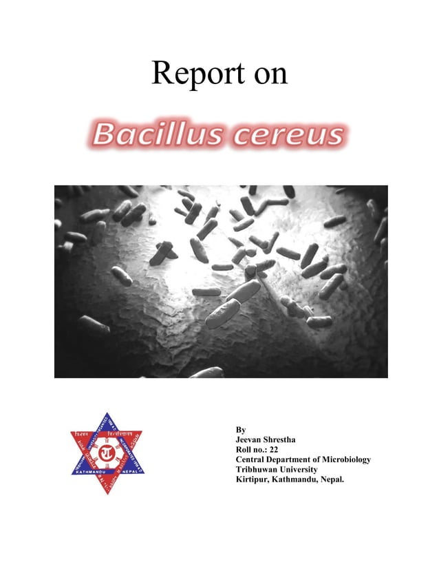 Bacillus cereus | PDF | Science