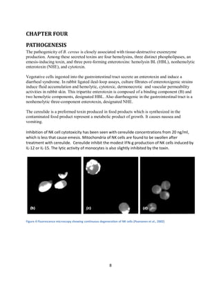 Bacillus cereus | PDF