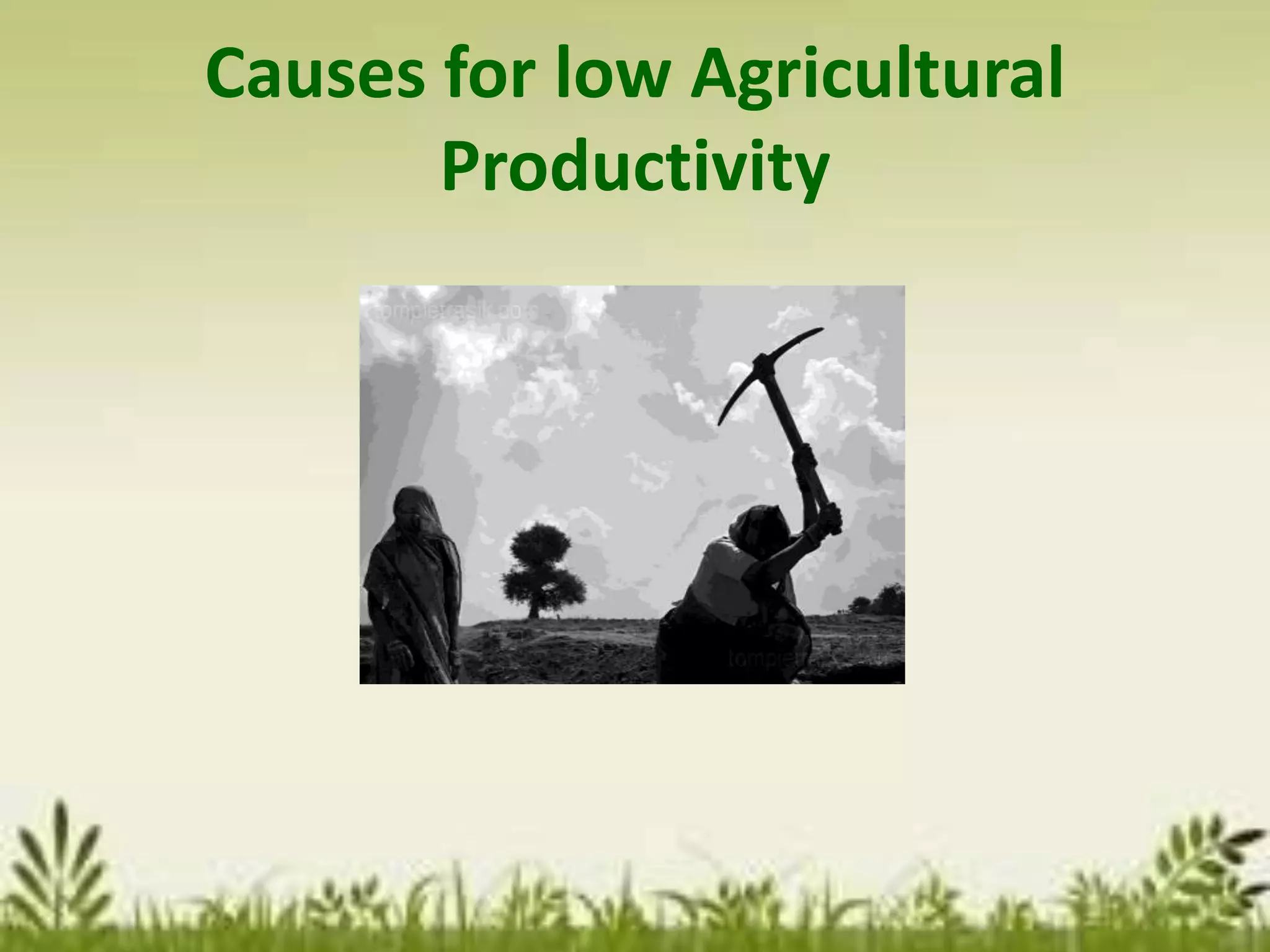 Agro based industries scenario and their future in India | PPTX