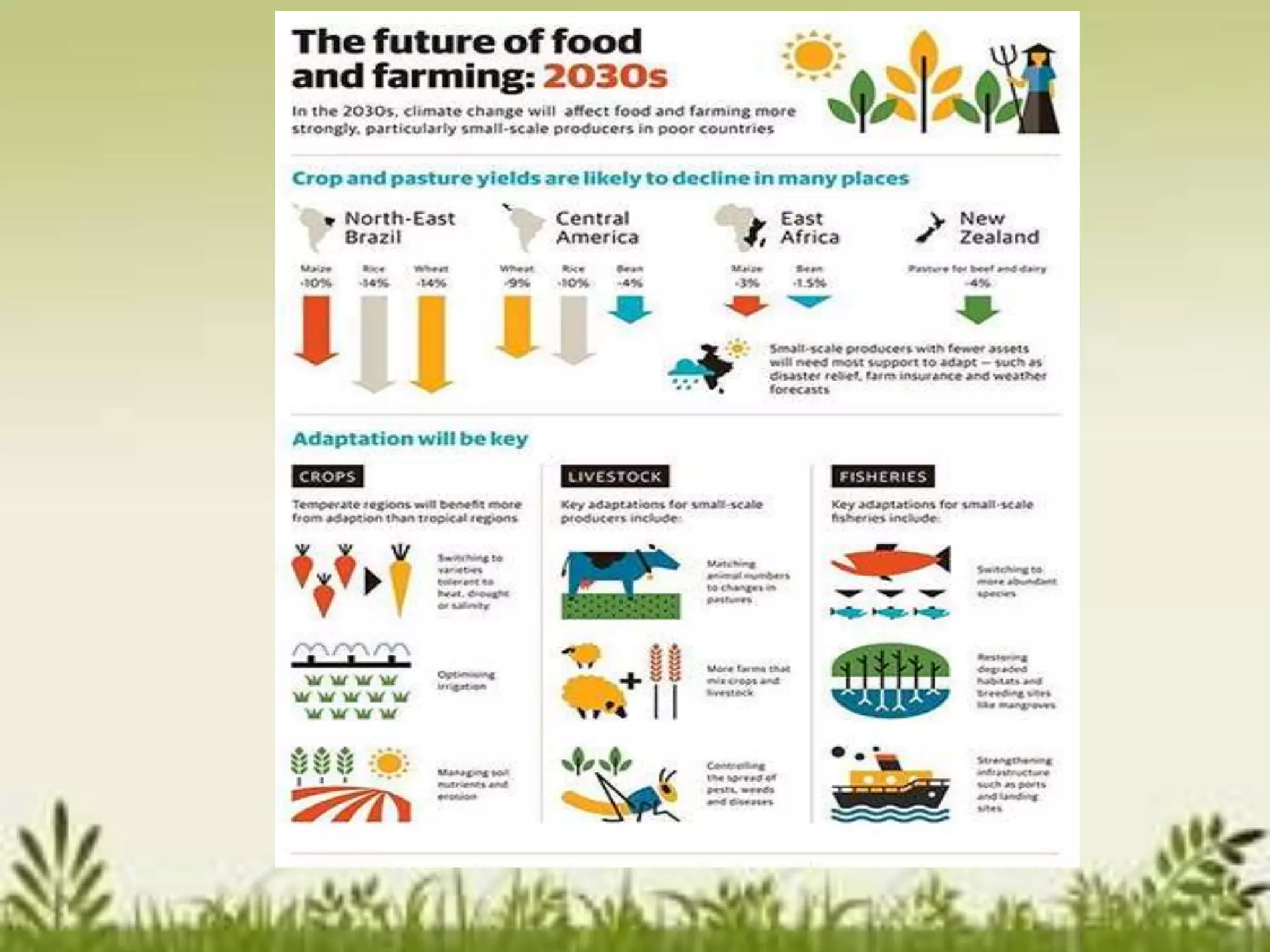 Agro based industries scenario and their future in India | PPTX