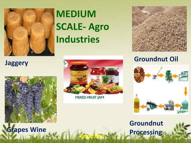 Agro based industries scenario and their future in India | PPTX