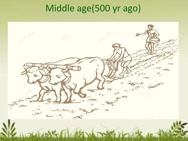 Agro based industries scenario and their future in India | PPTX