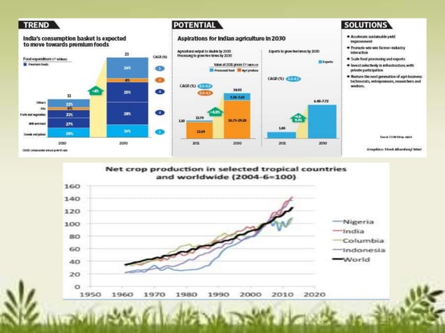 Agro based industries scenario and their future in India | PPTX